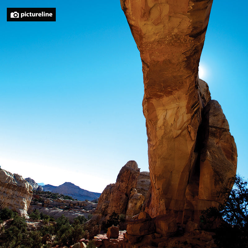 6 Simple Tips for Better Photos