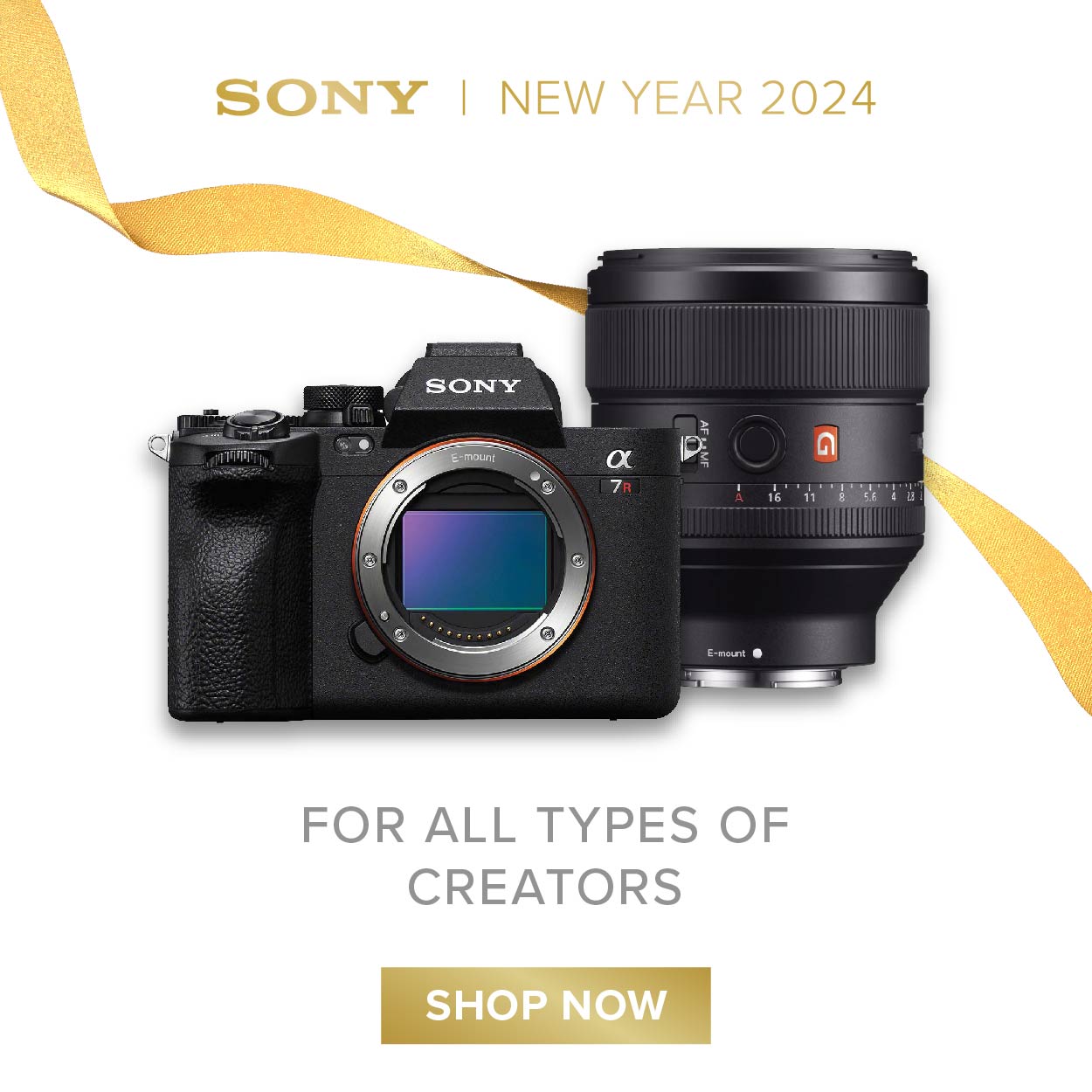 Pictureline Photo Video Digital Cameras, Photography Equipment