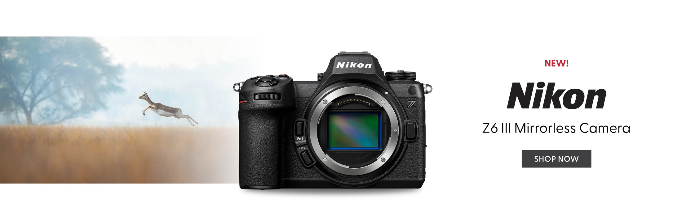 Pictureline Photo Video Digital Cameras, Photography Equipment