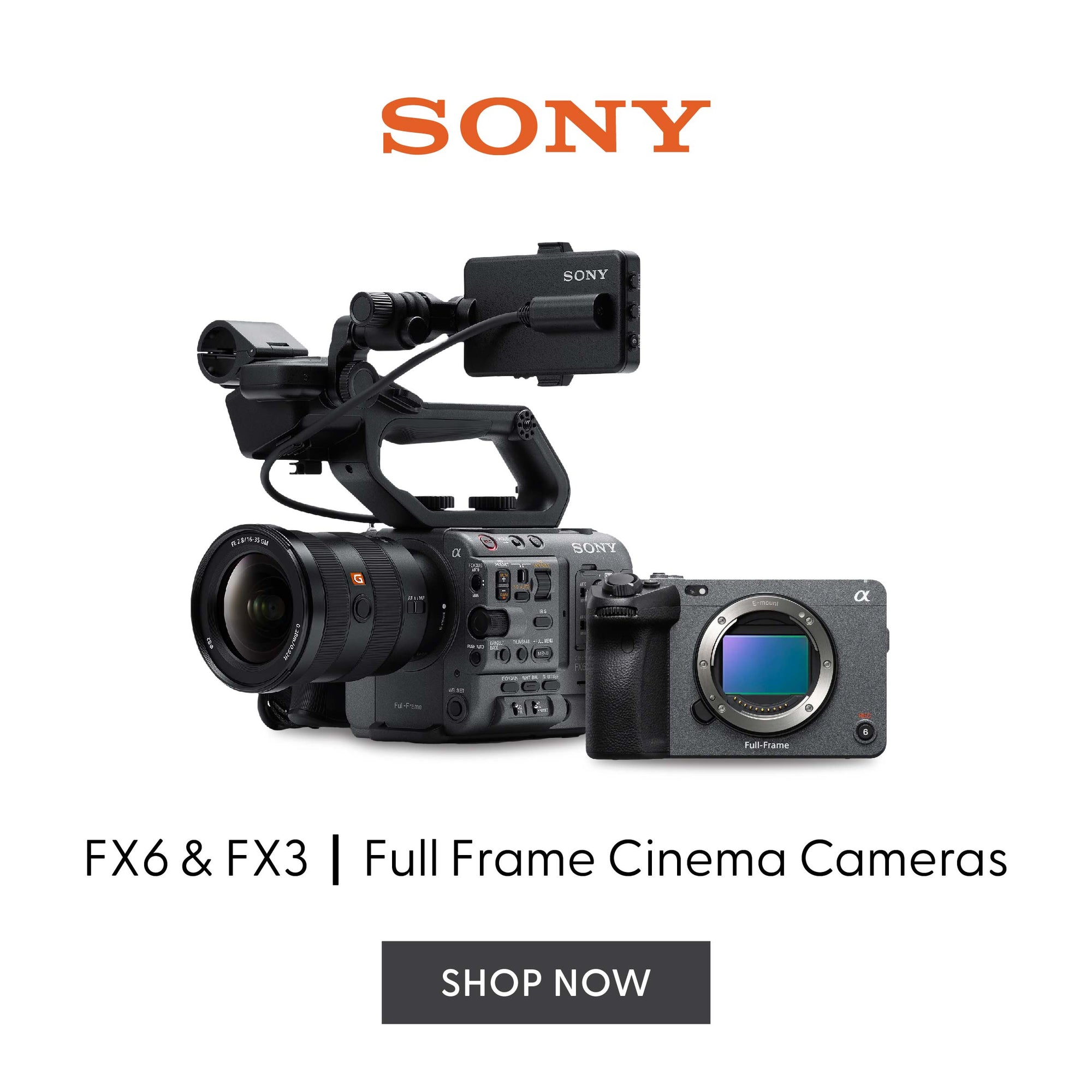 Pictureline Photo Video Digital Cameras, Photography Equipment