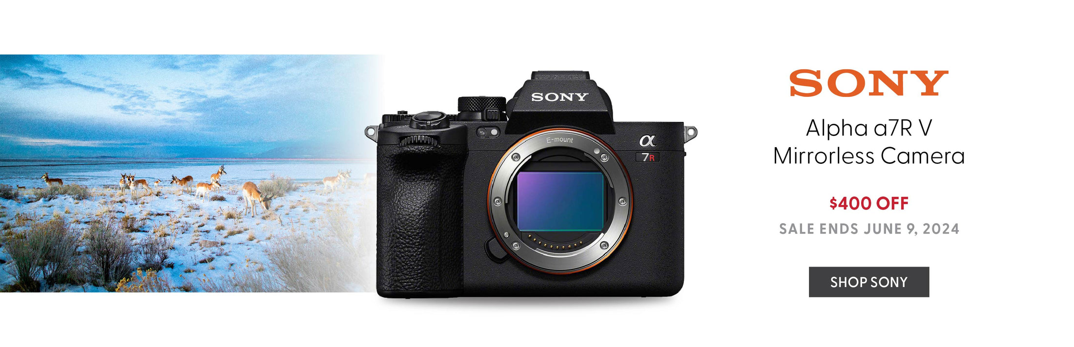 Pictureline Photo Video Digital Cameras, Photography Equipment