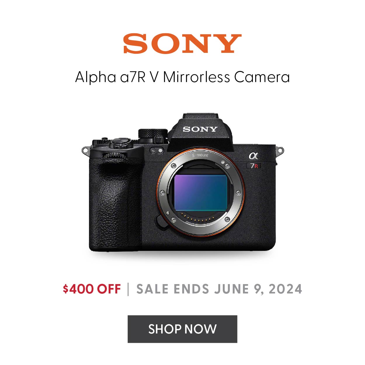 Pictureline Photo Video Digital Cameras, Photography Equipment