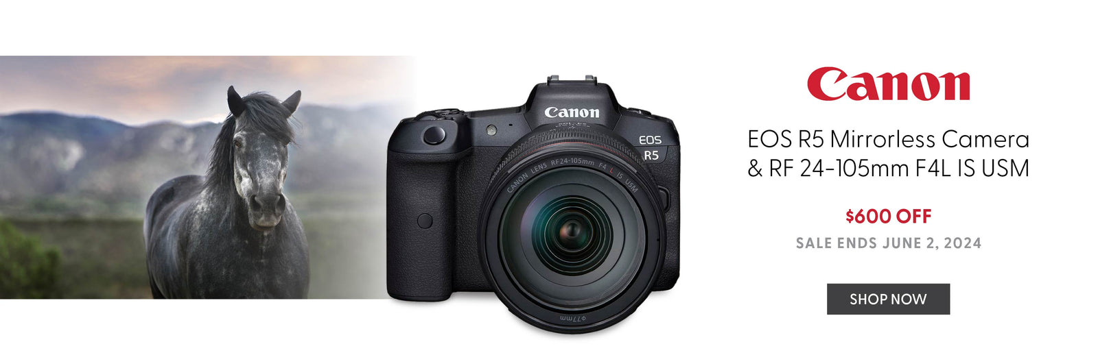 Pictureline Photo Video Digital Cameras, Photography Equipment