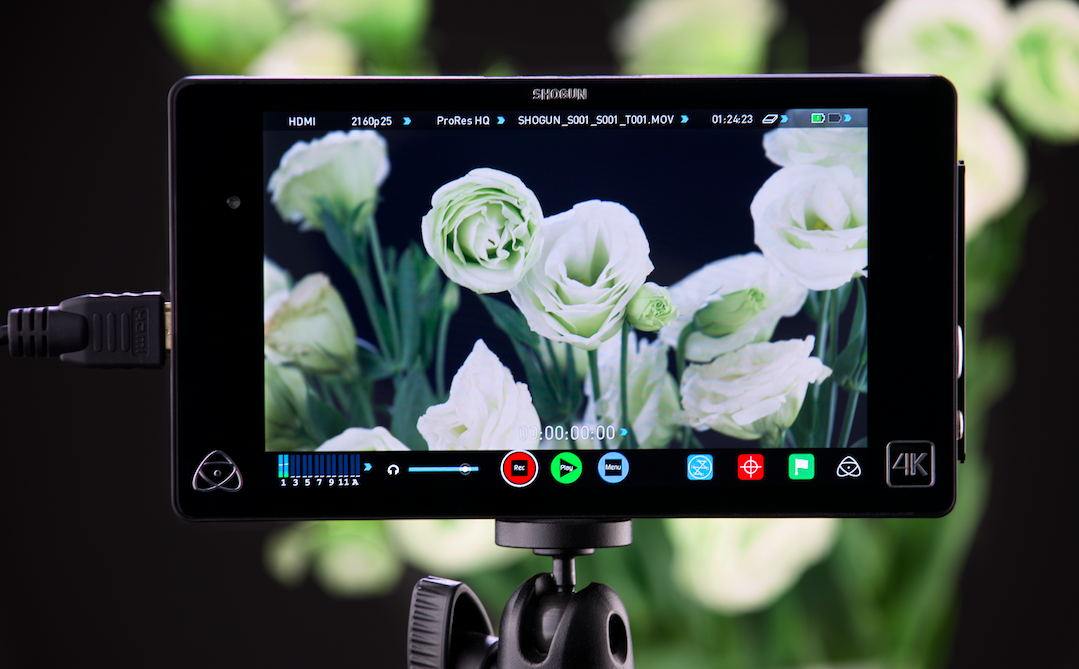 Atomos Shogun 4K Recorder
